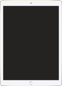 iPad Pro 12.9" (1.gen) - MobiGo